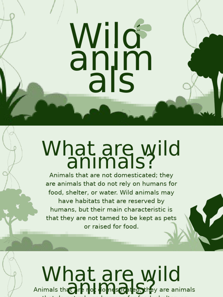 Understanding Wild Animals: Types & Traits | PDF