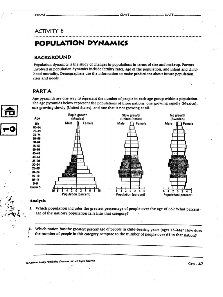 Population Dynamic Assignment | PDF