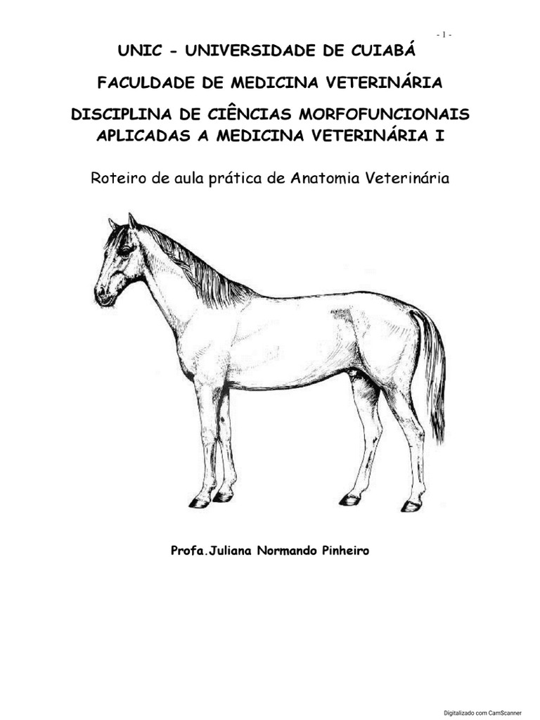 Apostila Anato | PDF