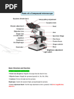 2024SUE1BIO143L UsingtheVScope 330245 | PDF | Microscope | Electromagnetic Radiation