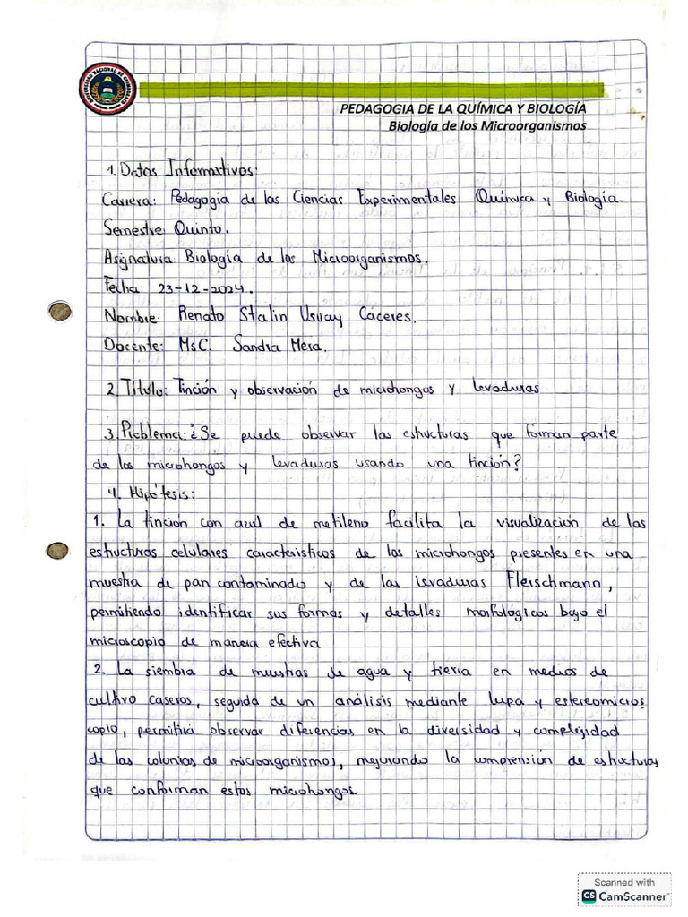 Usuay Renato - E6 | PDF