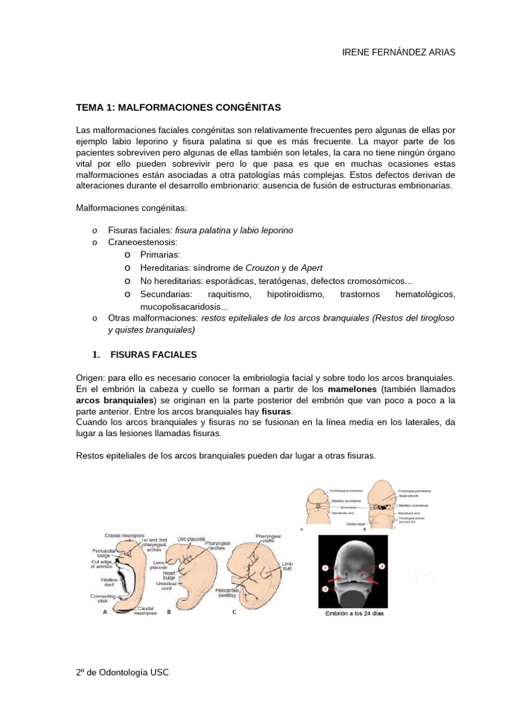 T-1. Malformaciones Congénitas | PDF | Especialidades Medicas | Enfermedades y trastornos