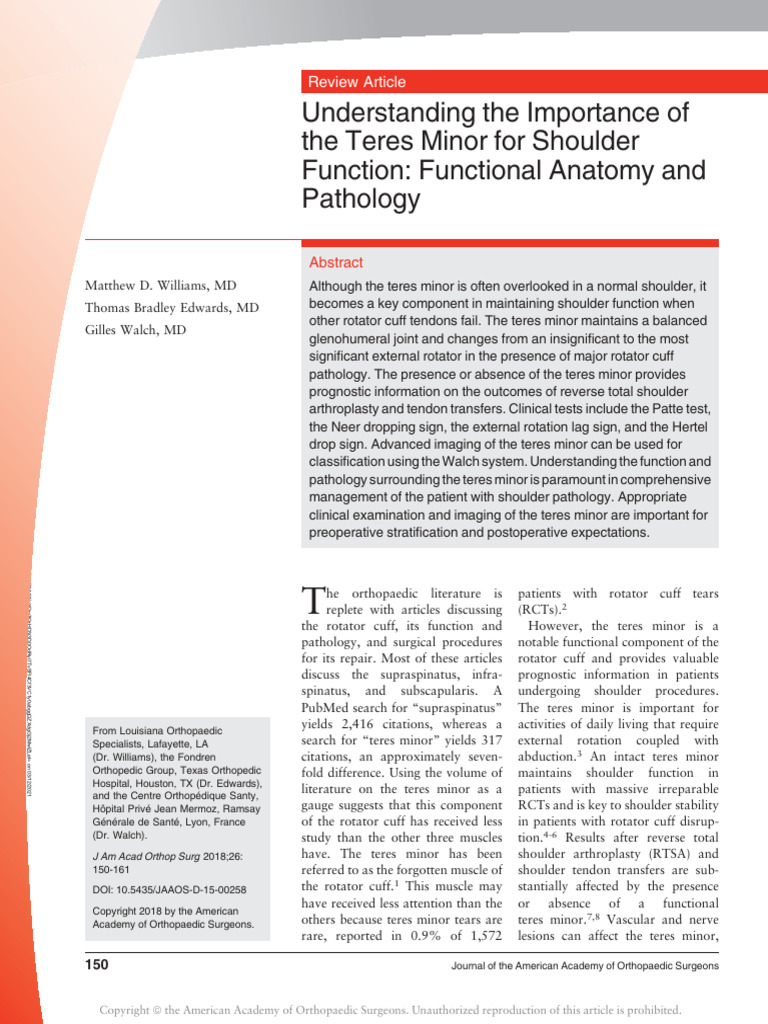 Understanding The Importance of The Teres Minor For Shoulder Function ...