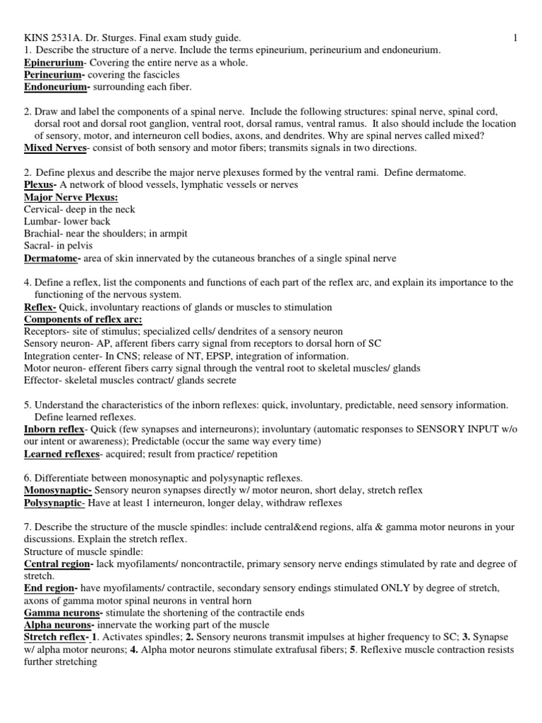 A&P FINAL Study Guide!! | Cerebrum | Cerebral Cortex