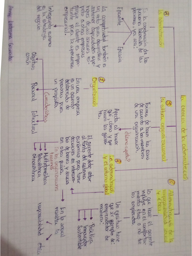 Mapa Conceptual 1 | PDF
