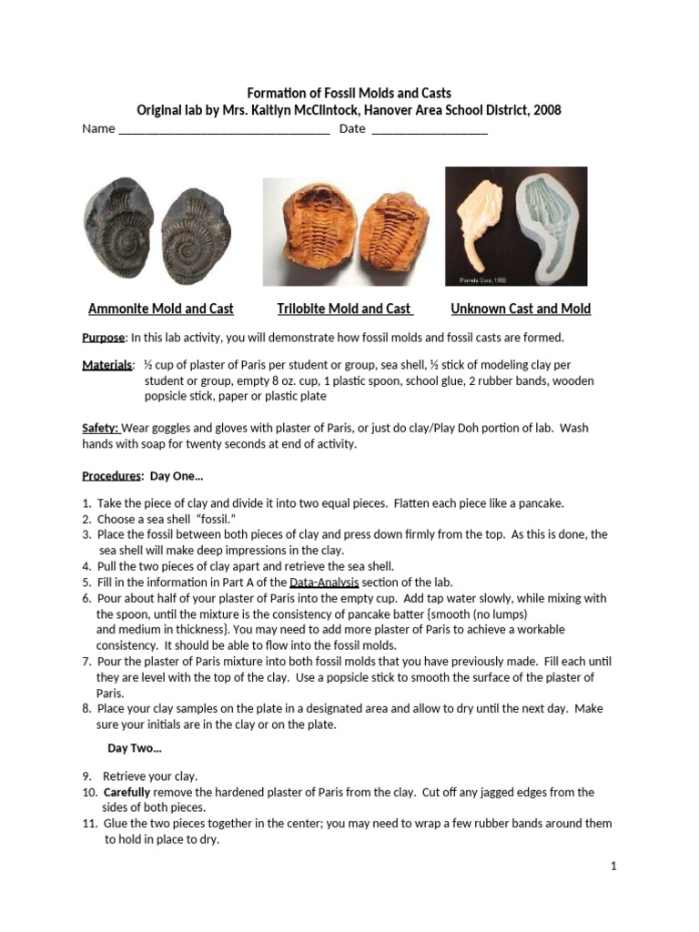 Formation of Fossil Molds and Casts | PDF | Plaster | Materials