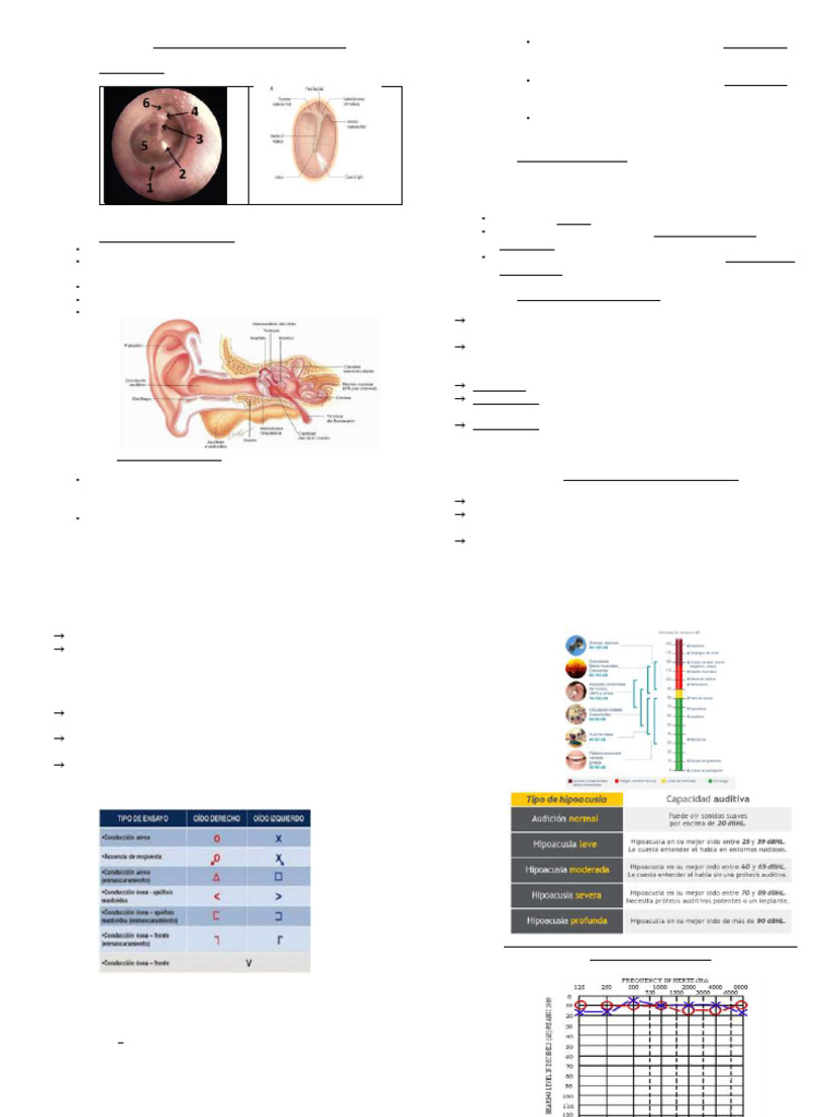 Clase 2 Exploración Del Oído | PDF | Tinnitus | Escuchando