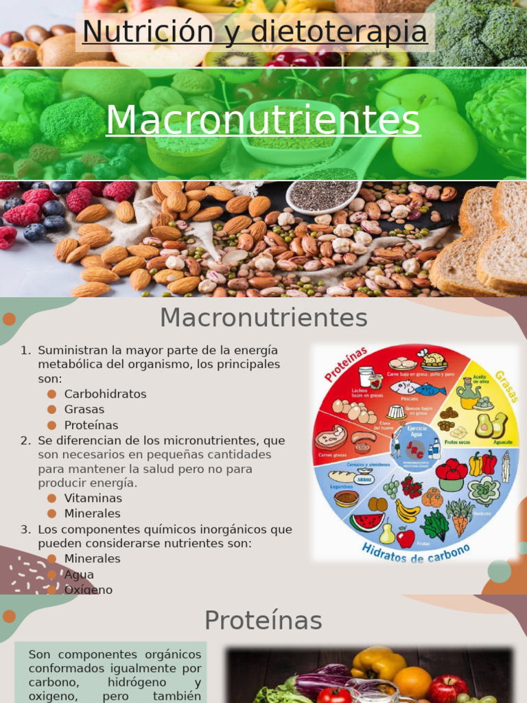 Macronutrientes: Funciones y Tipos | PDF | gordo | Carbohidratos