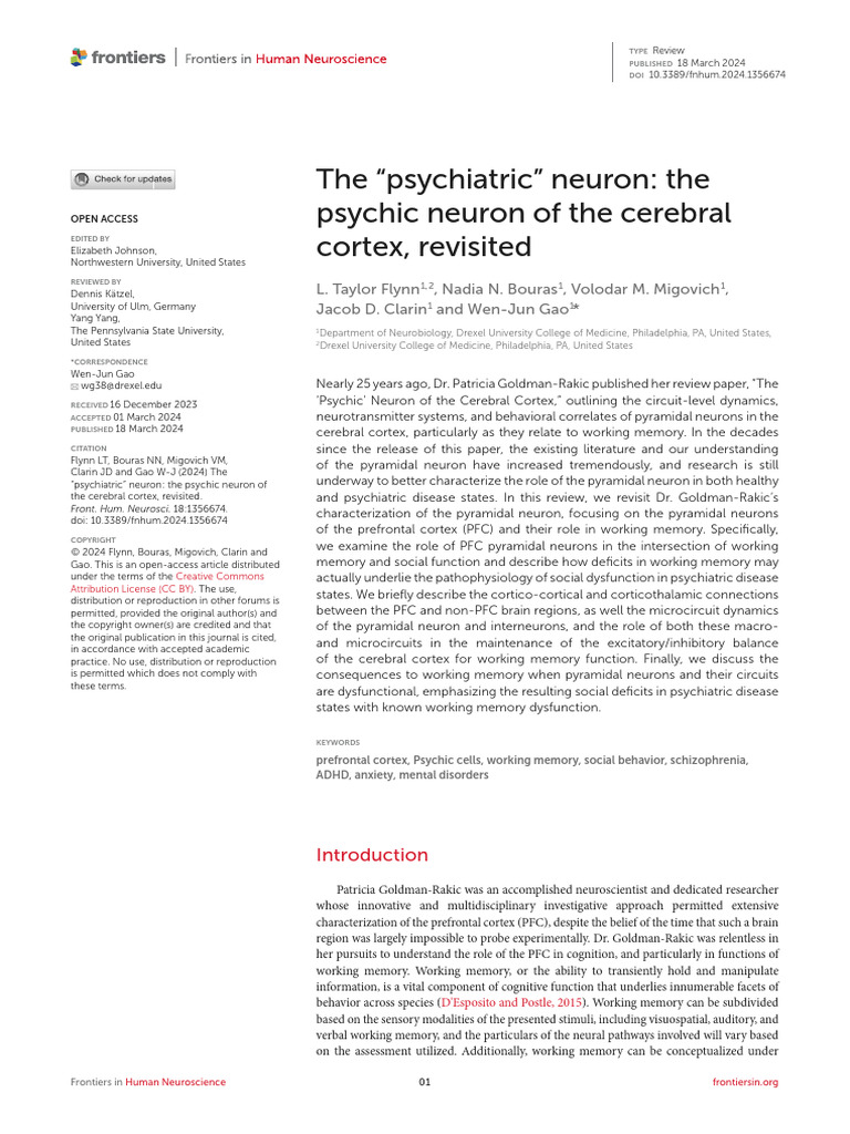 Revisiting the Psychiatric Neuron | PDF | Working Memory | Prefrontal ...