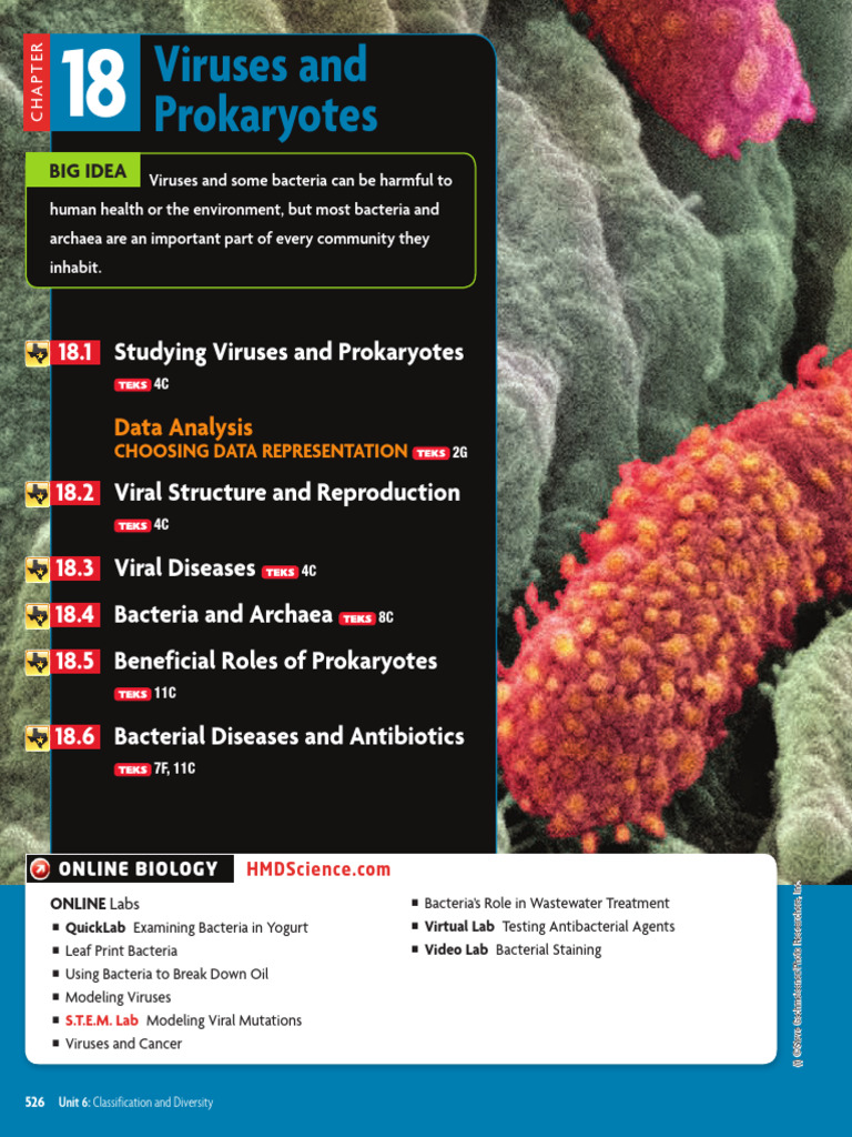 Bio CH 18 Viruses and Prokaryotes | PDF | Virus | Influenza