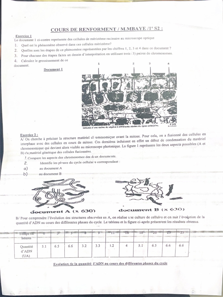 Exercise SVT 1er s2 | PDF