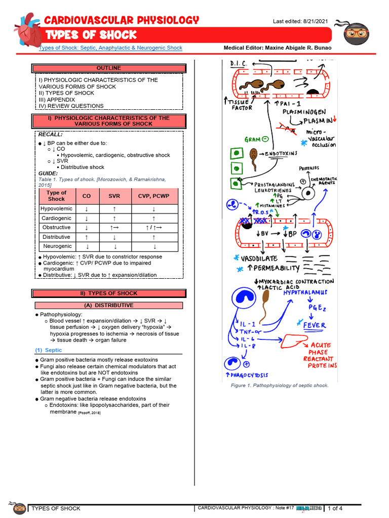 Types of Shock: Septic, Anaphylactic, Neurogenic | PDF | Shock ...