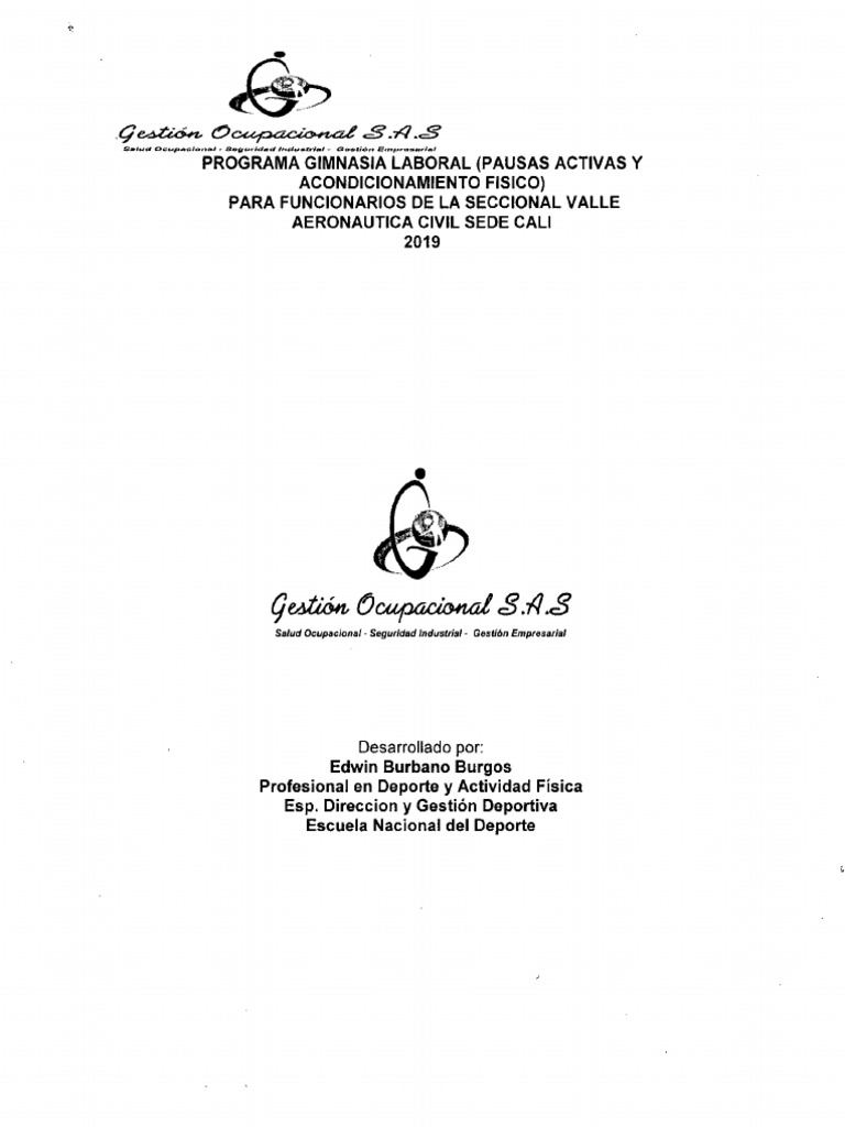 Pausa Activa | PDF