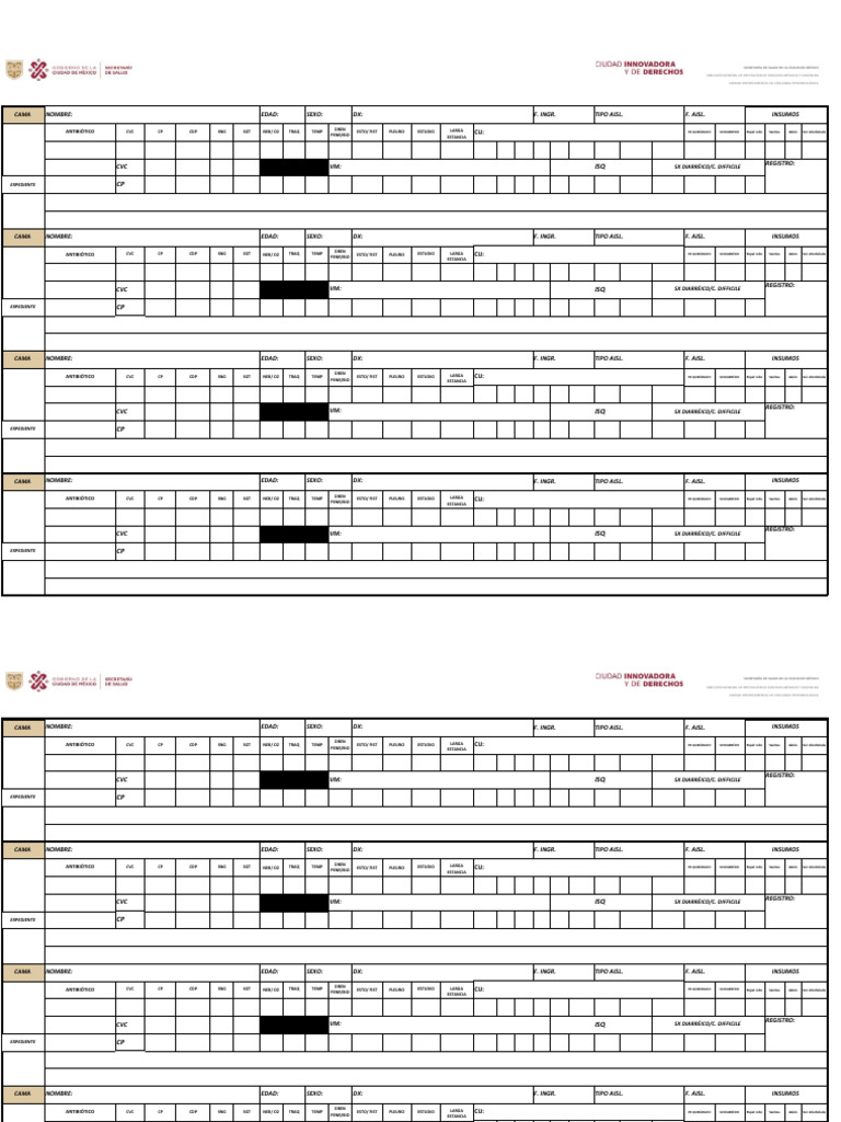V2.0 Formatos de Vigilancia Diaria | PDF
