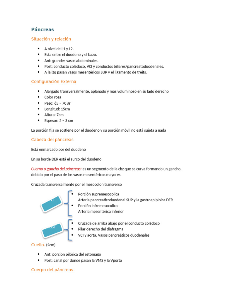 Anatomía del Páncreas y Conductos Asociados | PDF