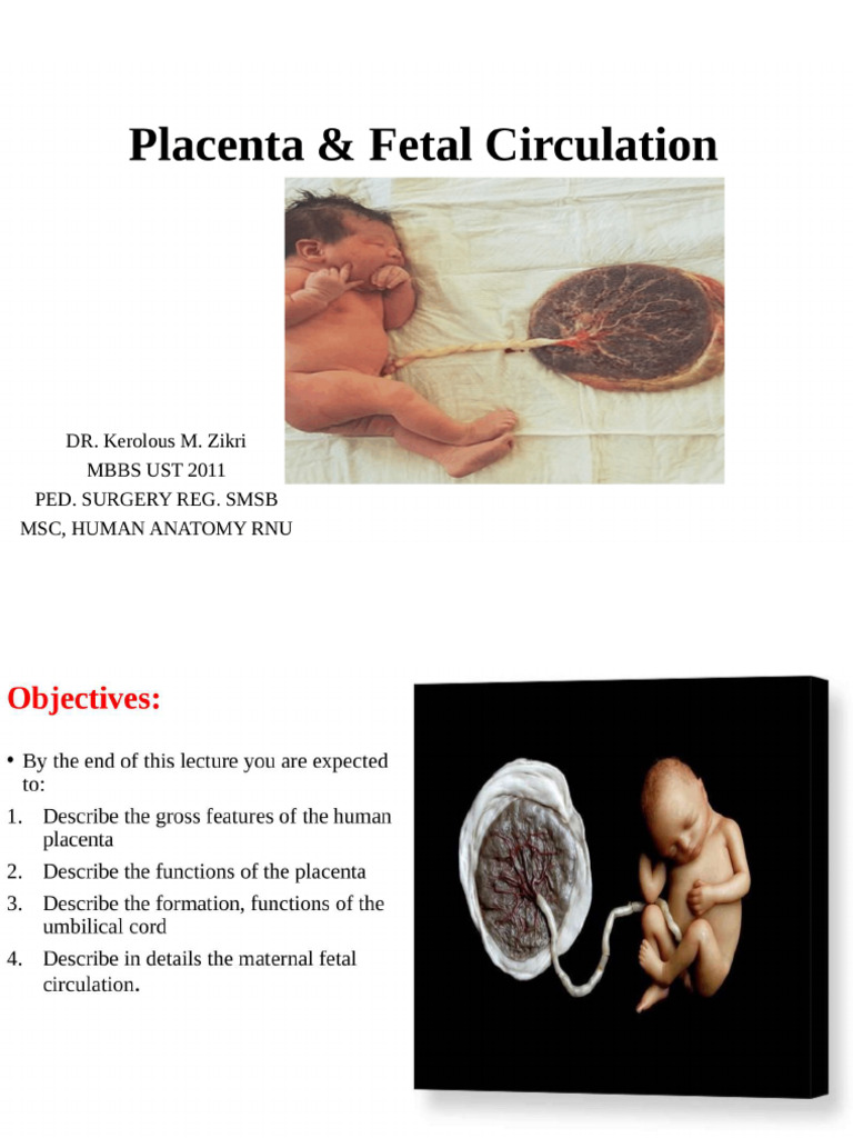 Placenta & Fetal Circulaton | PDF