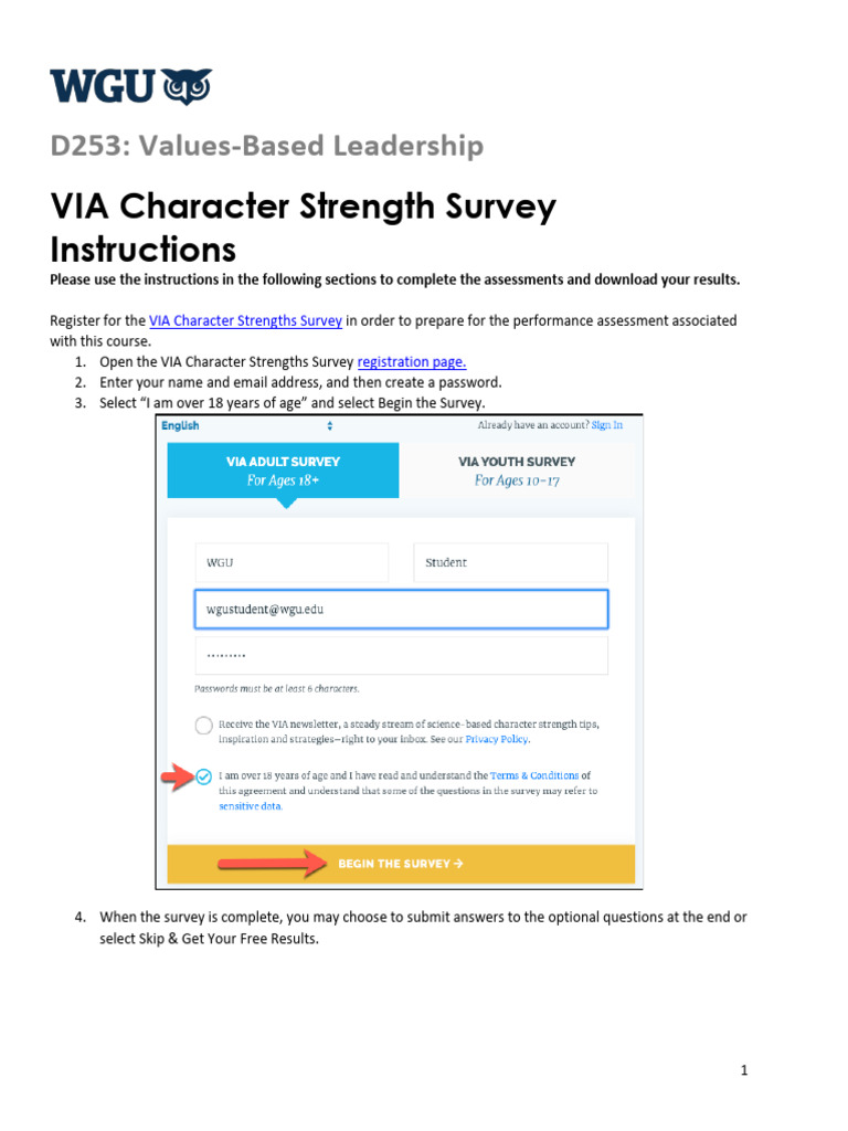 D253 VIA Character Strength Survey Instructions | PDF