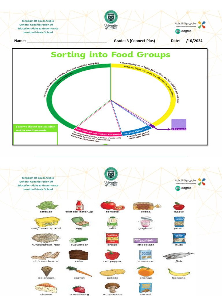 Grade 3 Connect Plus Document | PDF