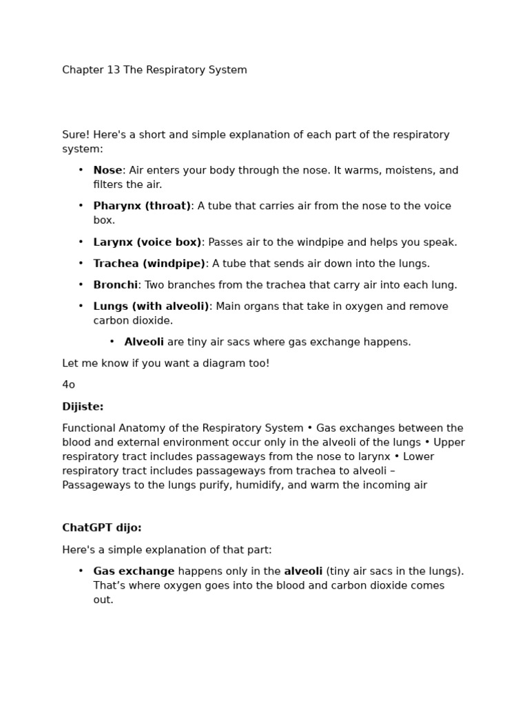 Chapter 13 The Respiratory System | PDF | Respiratory Tract ...