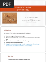 MTP and IP Joint Overview in Foot | PDF | Foot | Toe