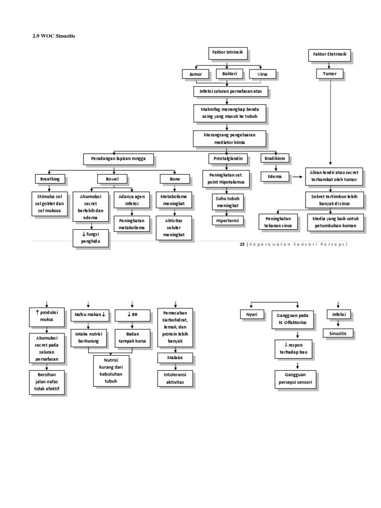 F 13693 Woc Askep Sinusitis | PDF