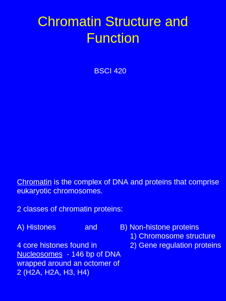Chromatin Structure and Function Overview | PDF