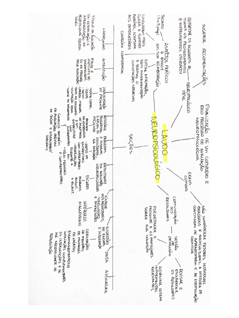 Mapa Mental - Cap 12 | PDF