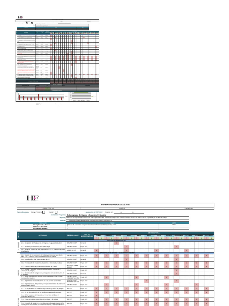Formatos Programas Generales | PDF