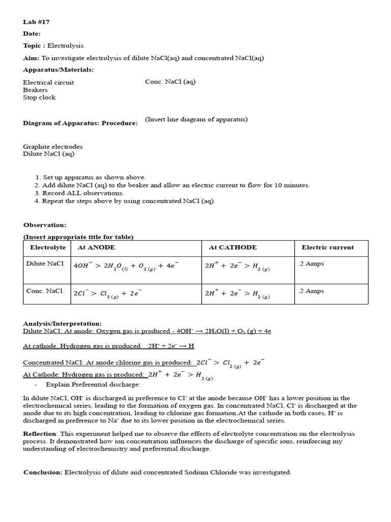 Lab 17A - Tto Investigate Electrolysis of Dilute and Concentrated NaCl | PDF