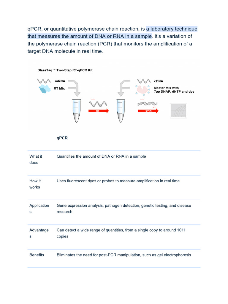 Q PCR | PDF