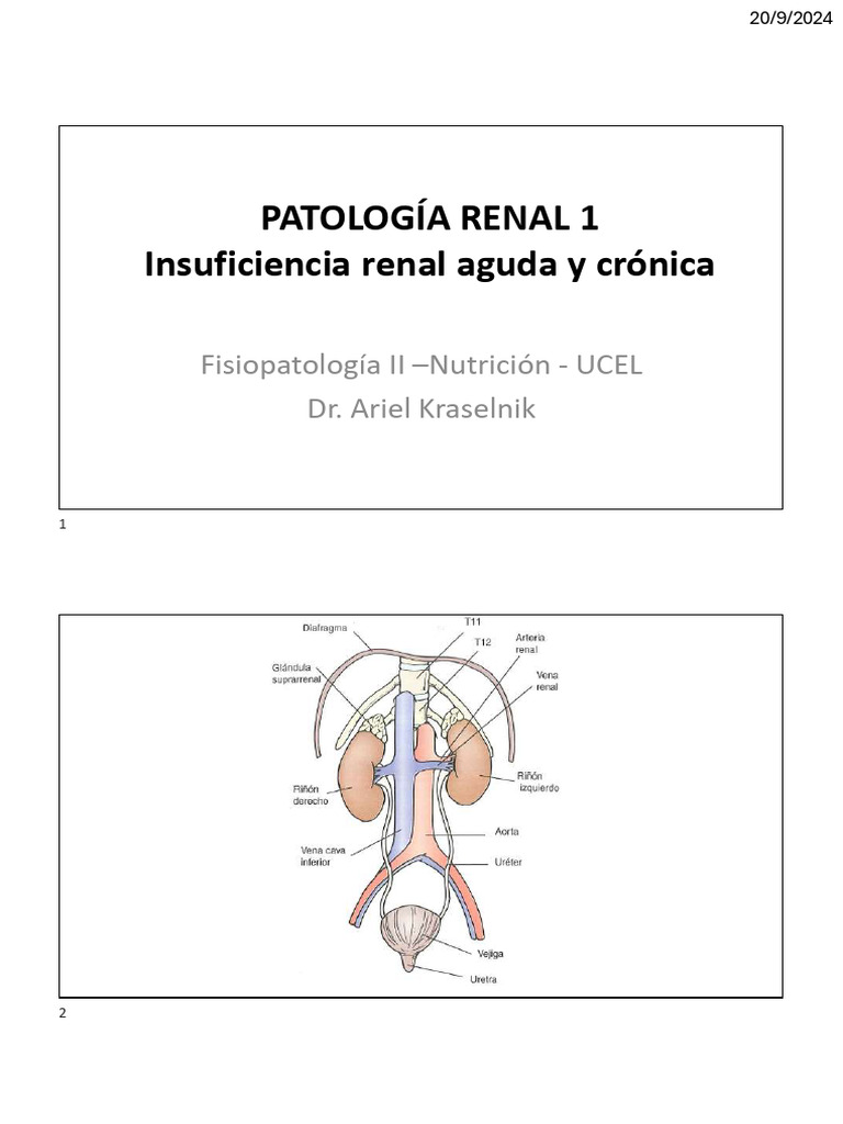 IRA IRC | PDF | Riñón | Medicina CLINICA