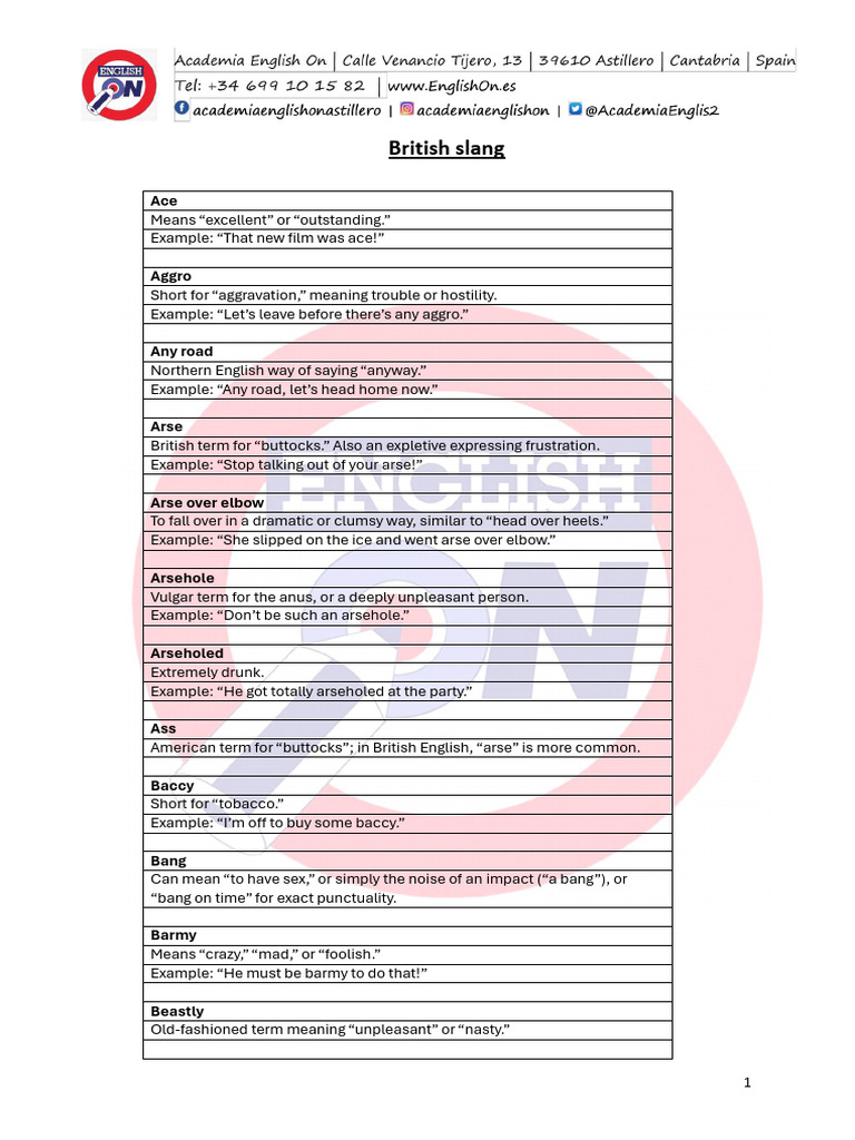 Understanding British Slang Terms | PDF