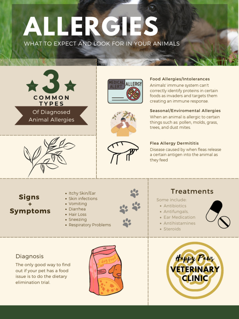 Food Allergy Dermatitis in Dogs | PDF