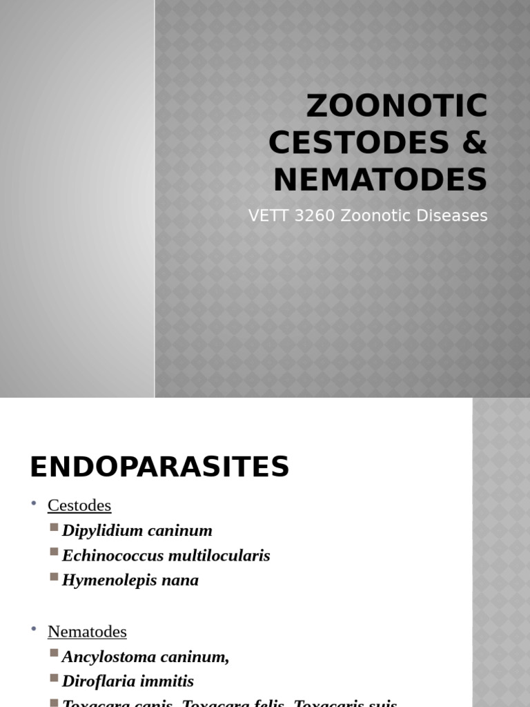Zoonotic Cestodes & Nematodes | PDF | Microbiology | Diseases And Disorders