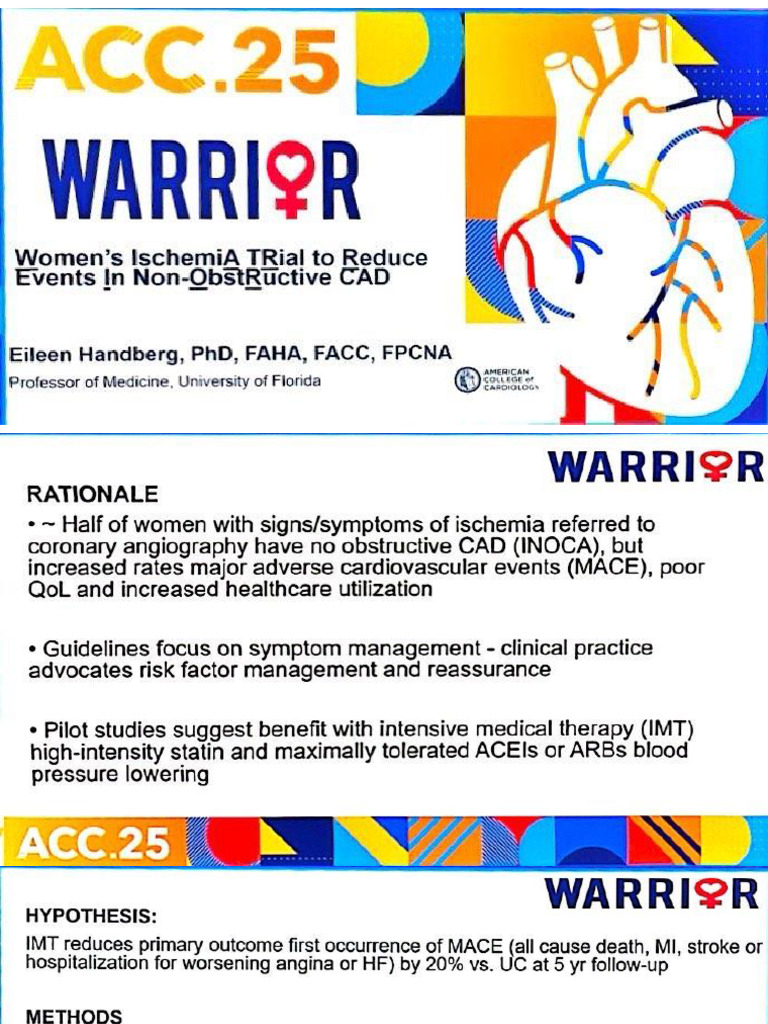 Warrior PDF | PDF