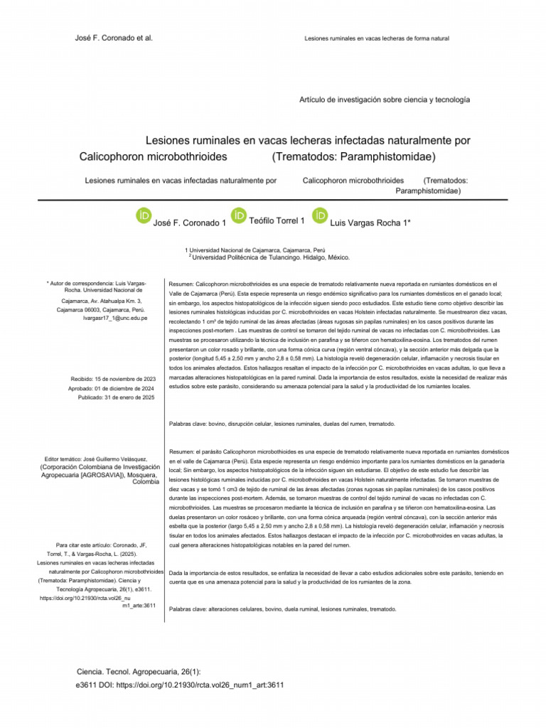 Lesiones ruminales por Calicophoron en vacas | PDF | Leucocito | Epitelio