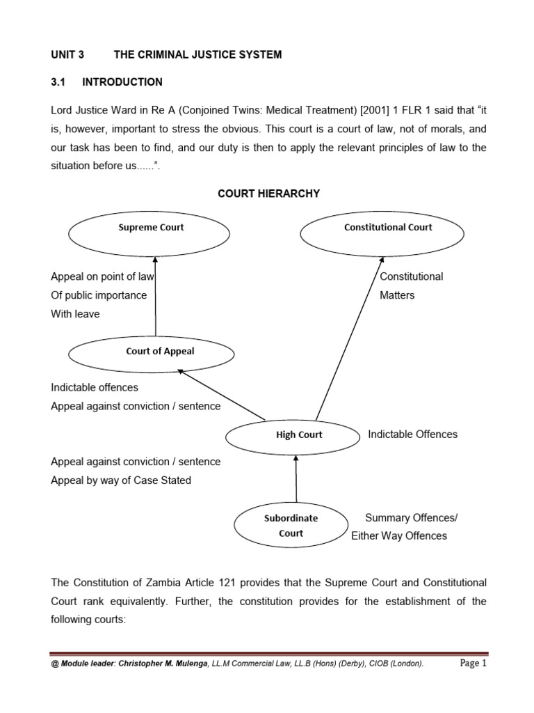 Criminal Law Unit 3 The Criminal Justice System | PDF | Bail | Arrest