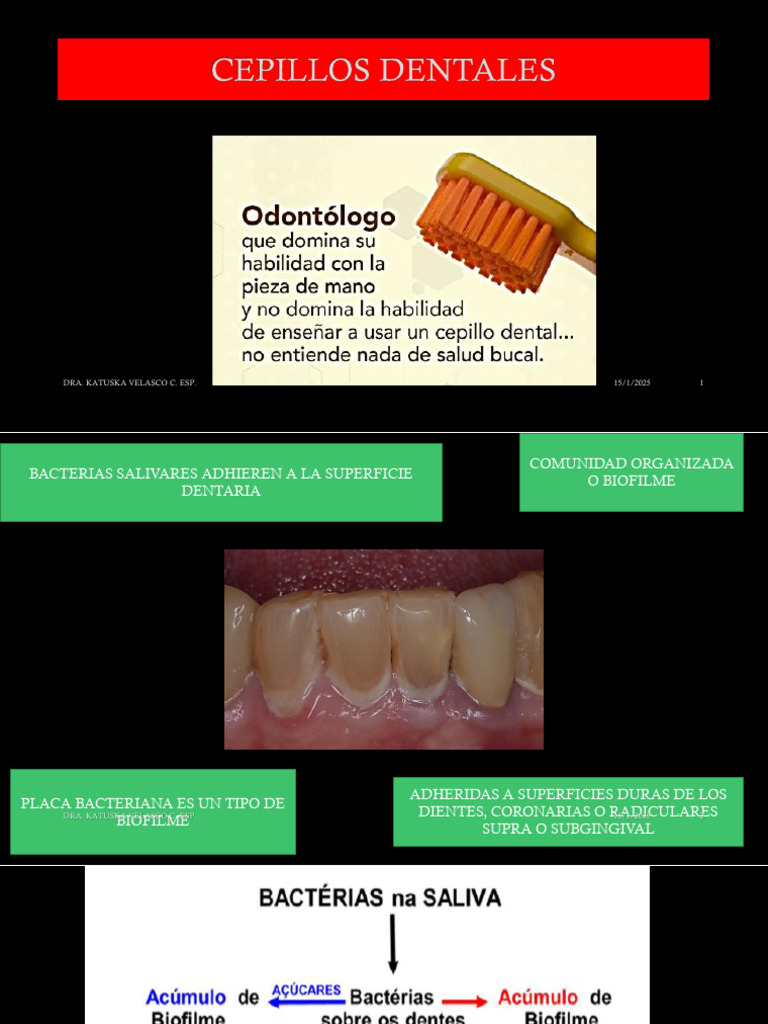 Parte 1 Cepillos | PDF | Ciencias de la Salud | Anatomia dental