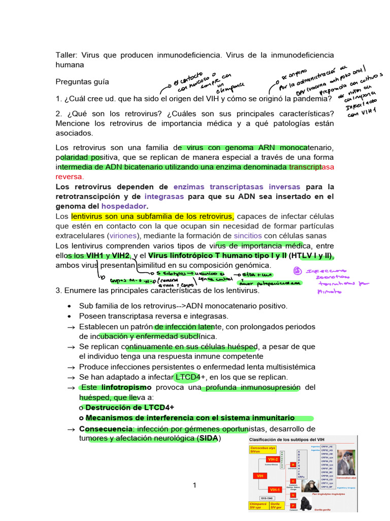 Vih-2 2 | PDF | Retrovirus | VIH