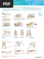 Veterinary Anesthesia Monitoring Form | PDF | Anesthesia | Medical ...