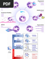 NORMA Oficial Mexicana NOM 248 | PDF | Ventilación (Arquitectura)