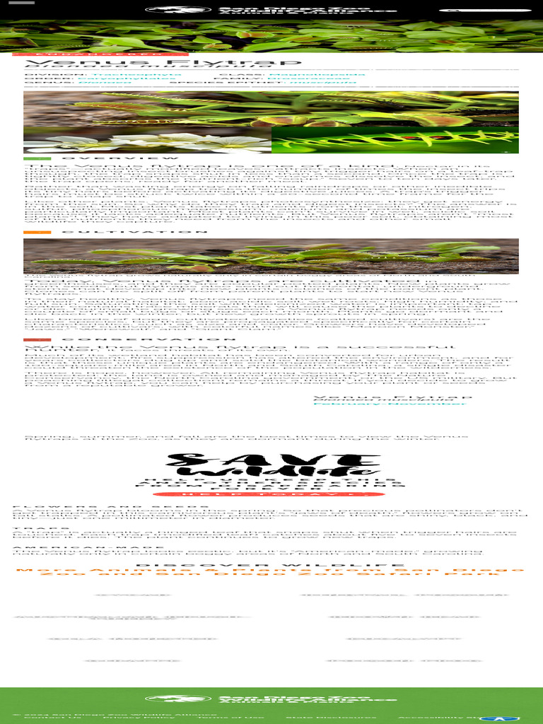 Venus Flytrap San Diego Zoo Animals & Plants | PDF | Plants | Botany