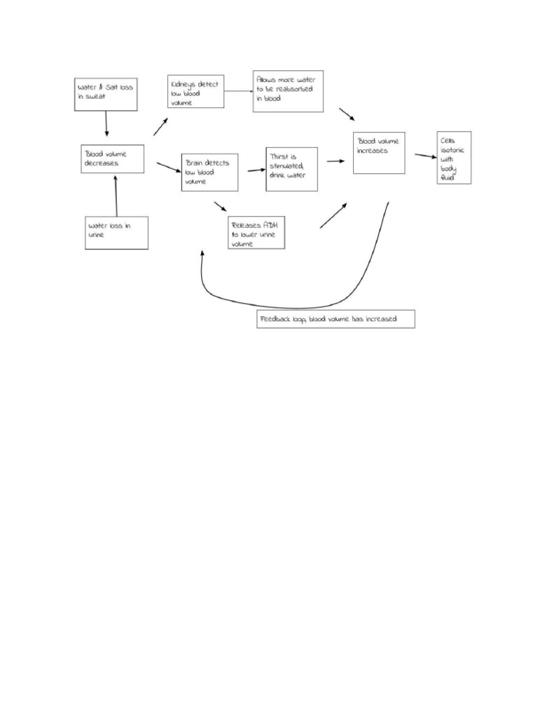 Work Pdf