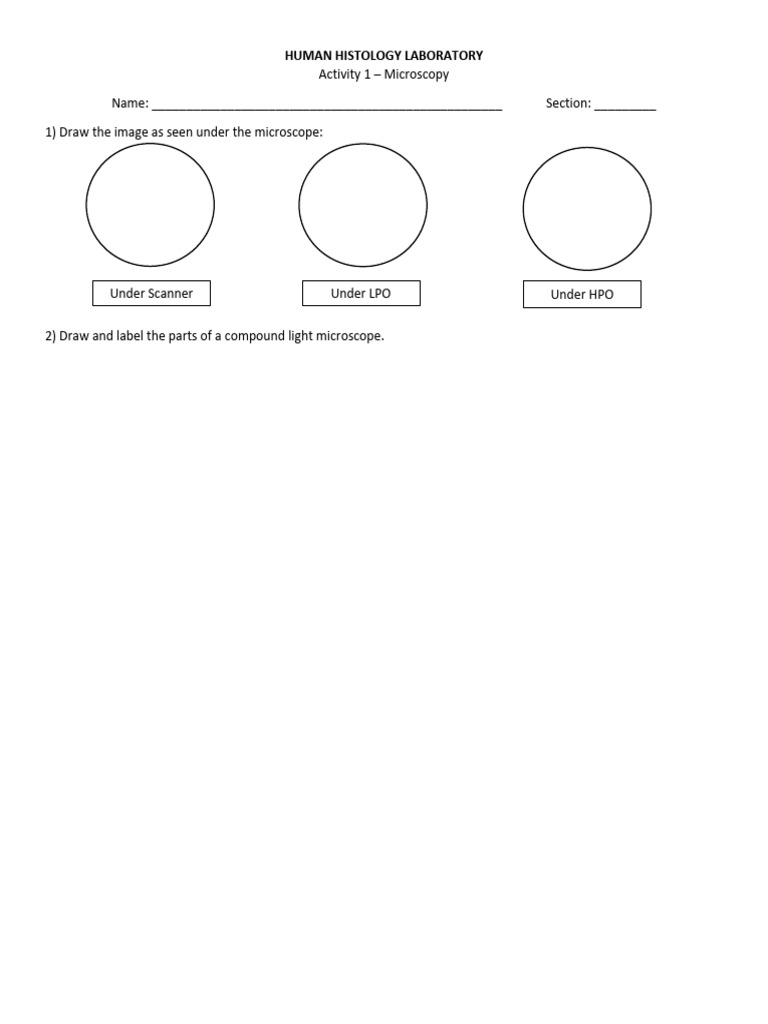 Activity 1 Micros | PDF