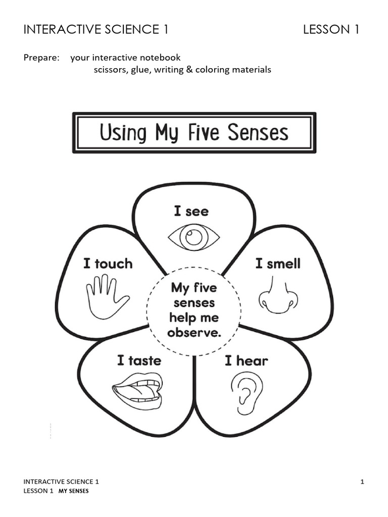 Interactive Science 1 Lesson 1-4 | PDF
