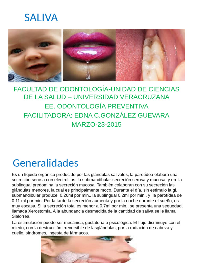 Saliva | PDF | Saliva