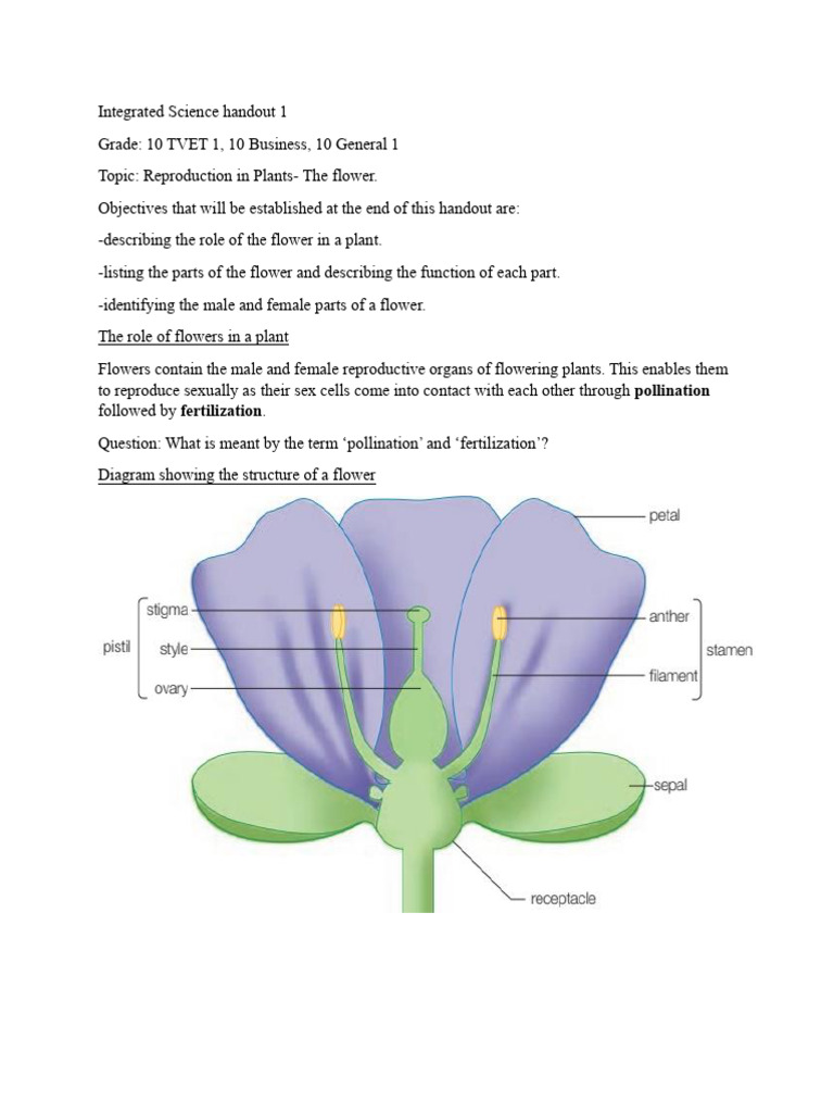 Reproduction in plants- The flower | PDF