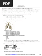 ? IGCSE Biology Chapter 11 Notes | PDF | Respiratory System ...