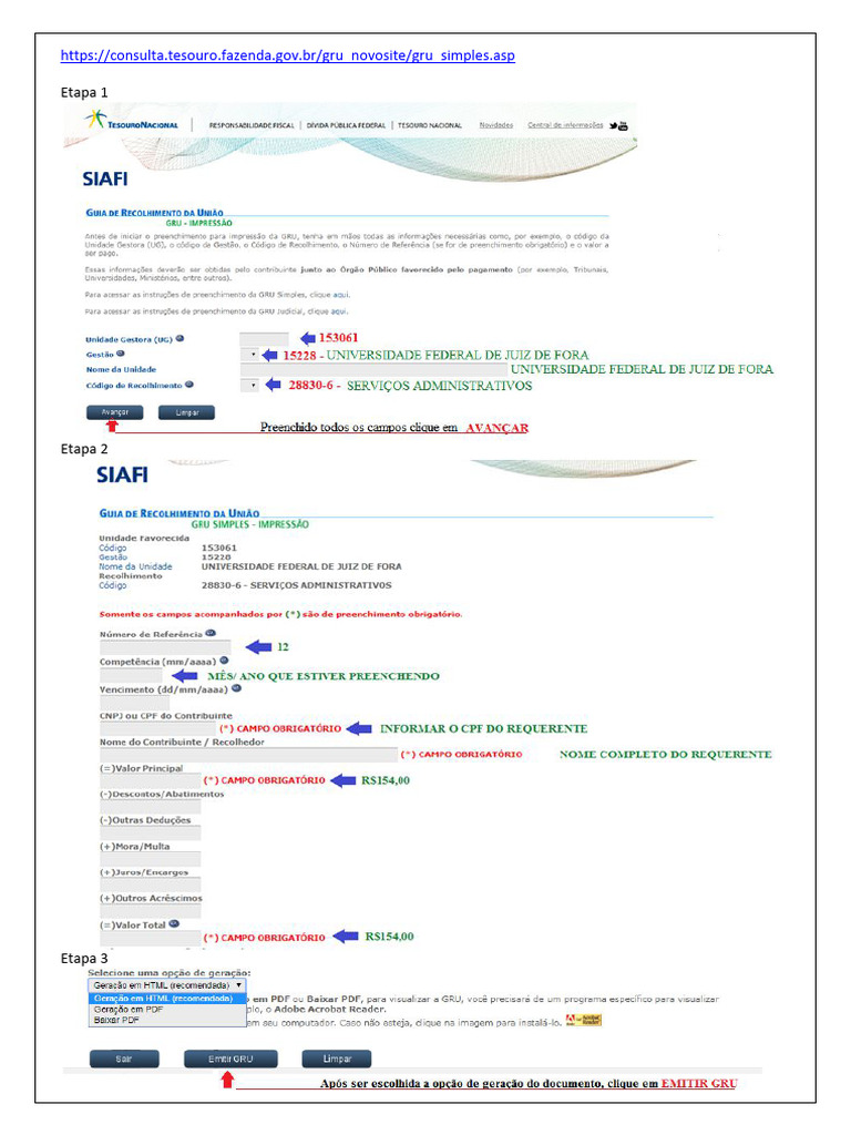Procedimentos-de-como-Emitir-GRU | PDF