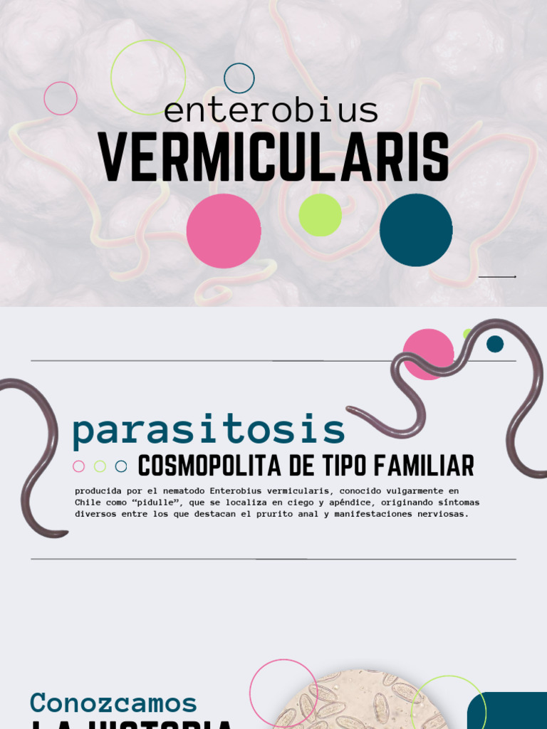 Enterobius Vermicularis | PDF | Especialidades Medicas